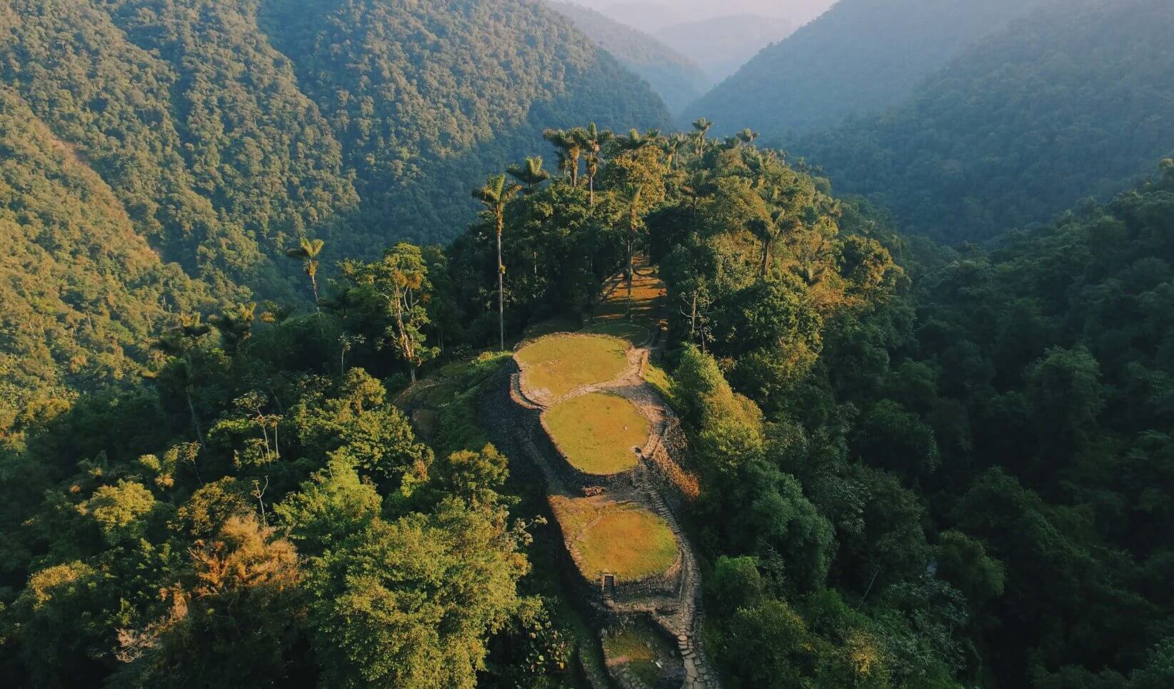 Reforesting the Sierra: A Chance to Help Preserve the “Heart of the ...