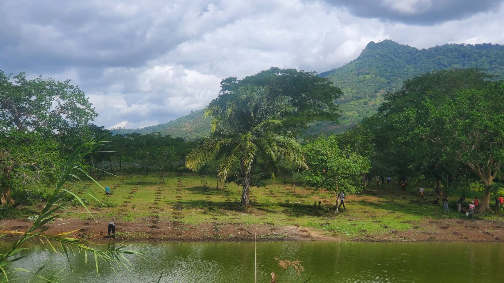 Forest Focus: Reforestation and Agroforestry Addressing Extreme Poverty ...