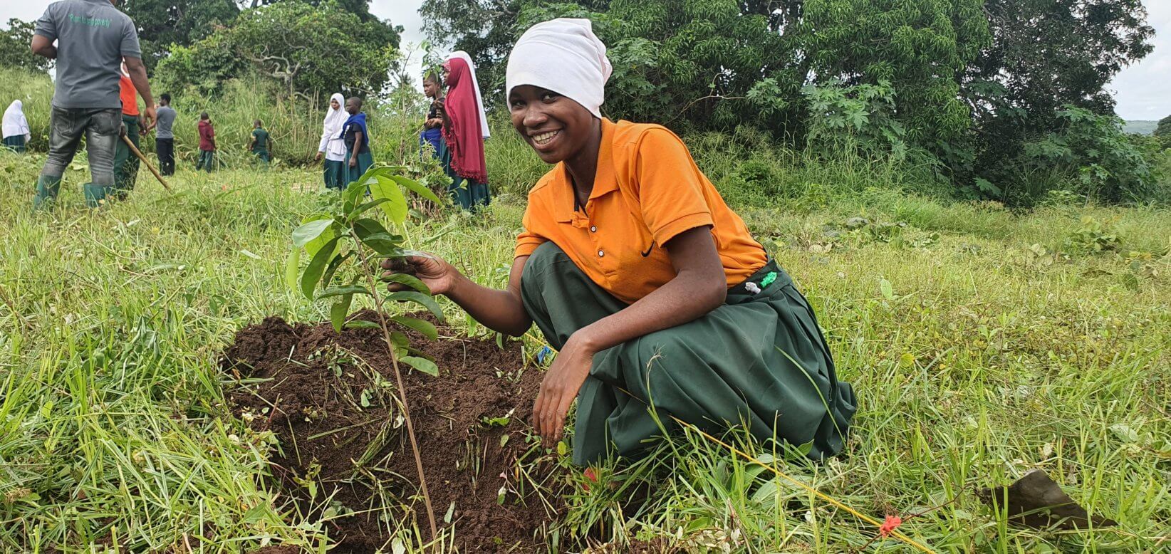 Forest Focus: Reforestation and Agroforestry Addressing Extreme Poverty ...