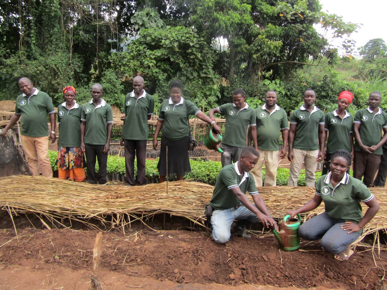 Bulindi Chimpanzee and Community Project: Restoring Ecosystems in ...