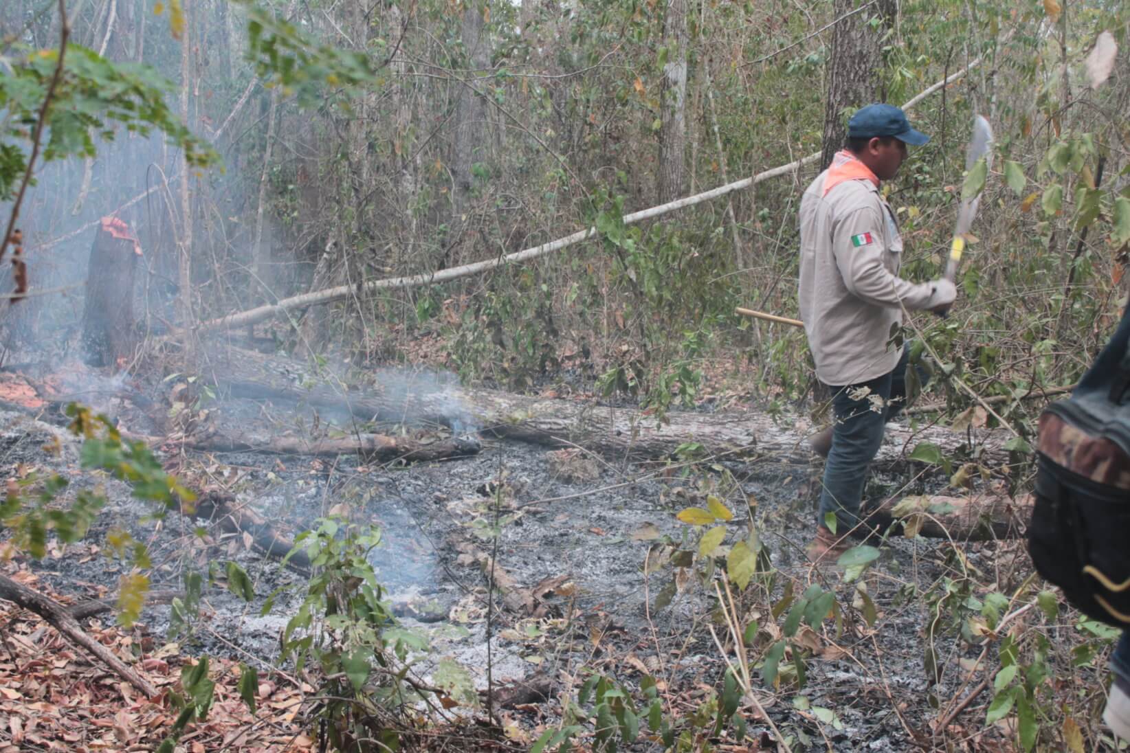 Fires on the Yucatán Peninsula during dry season - under control thanks ...