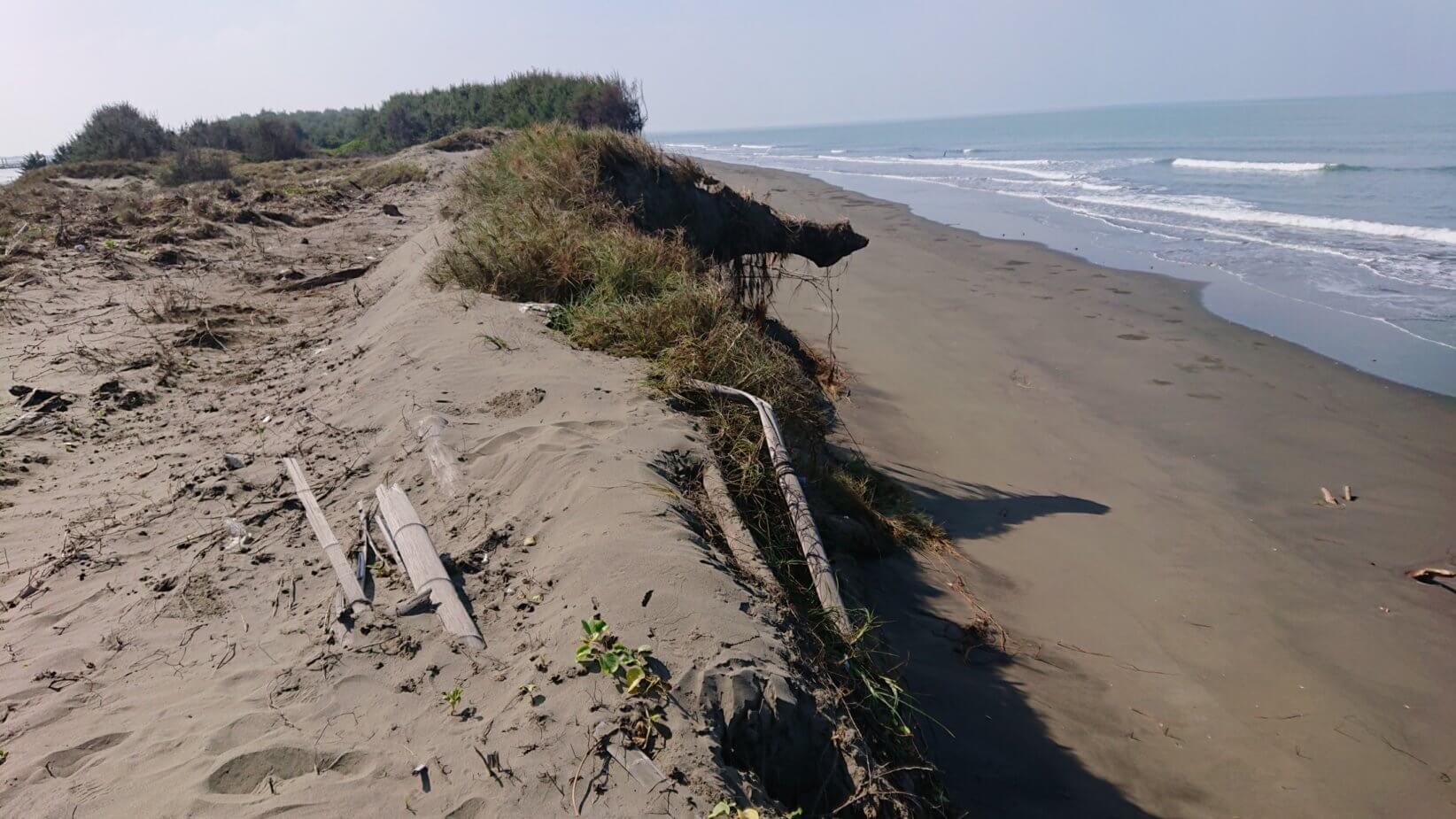 Our platform projects interviewed: Tse-Xin Organic Agriculture ...