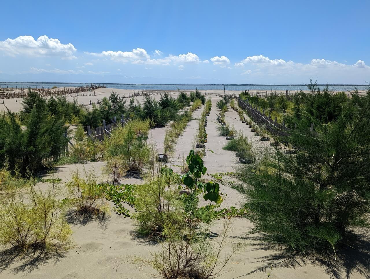 Our platform projects interviewed: Tse-Xin Organic Agriculture ...