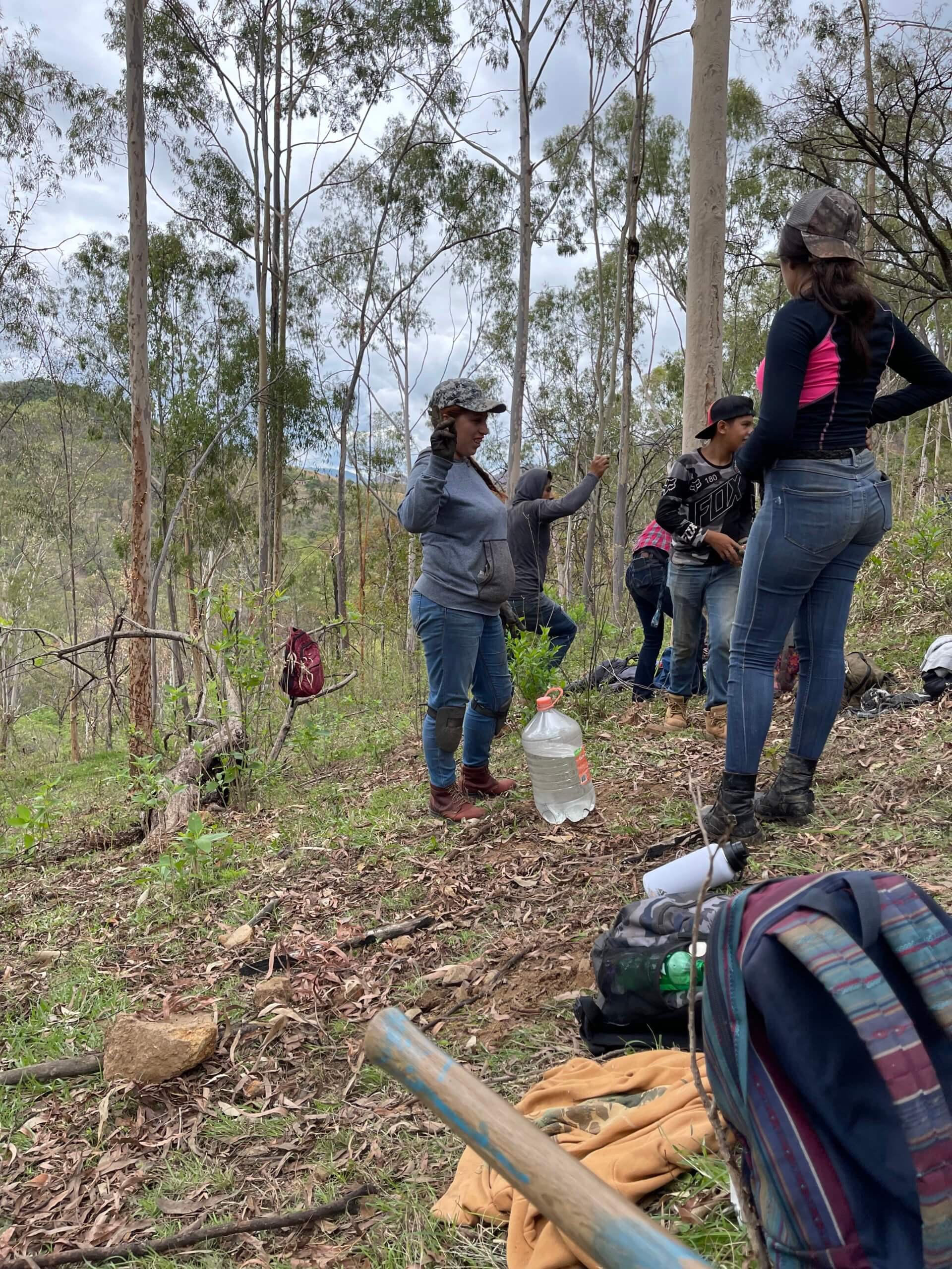 Our platform projects interviewed: “Donate a Tree to the World ...