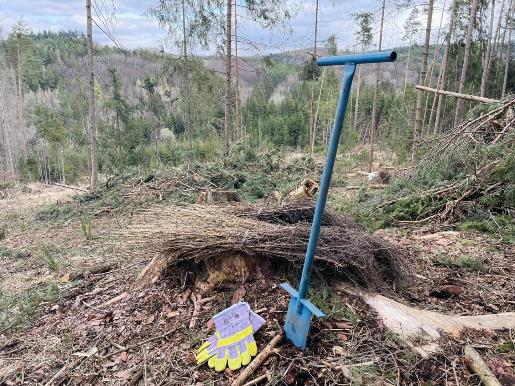 Our Platform Projects Interviewed: Home for Trees - Restoring Drought ...