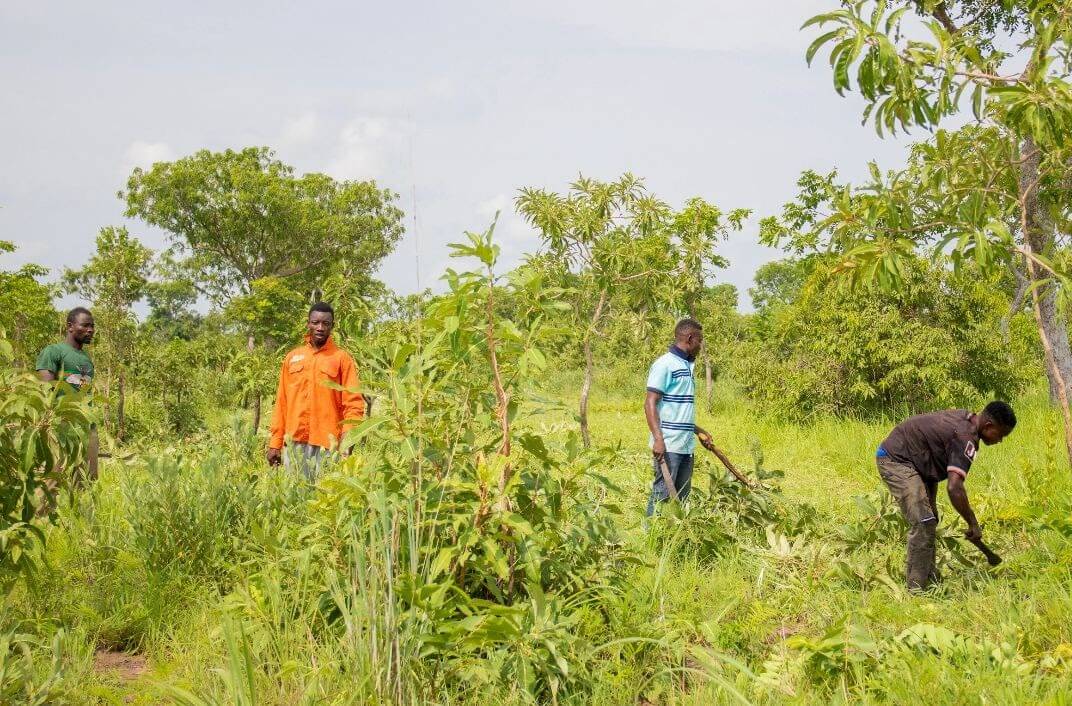 “Much more than just planting trees” – Arne's insight in Plant-for-the ...