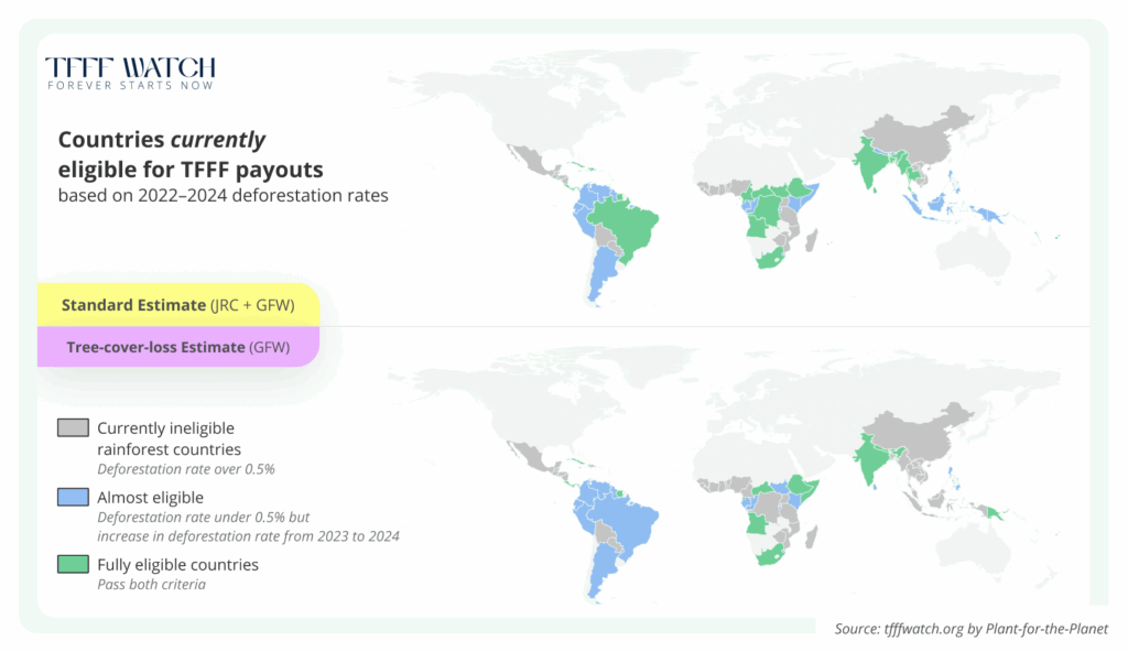 The World’s Largest Rainforest Fund Launches Ahead of COP 30
